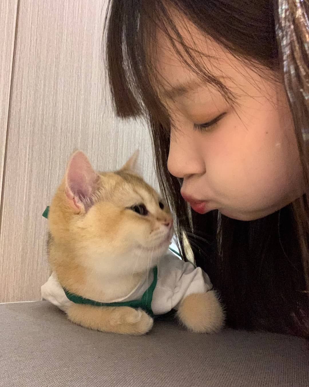 Beli Produk di Eureka Store Terlengkap Mei 2024 | itemku